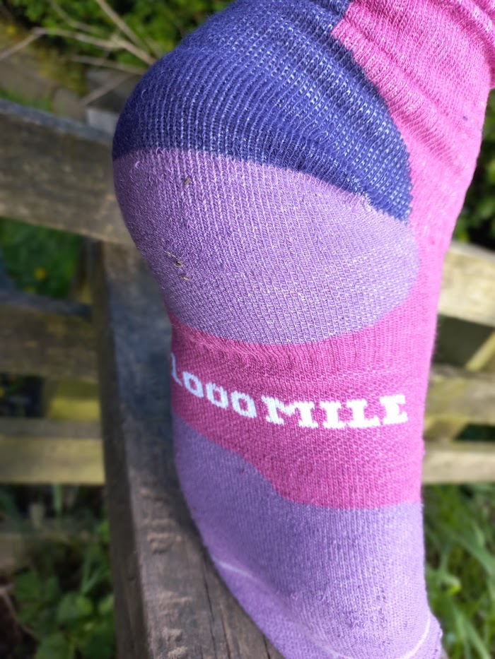 1000 Mile Fusion Walk Sock – The Review Studio