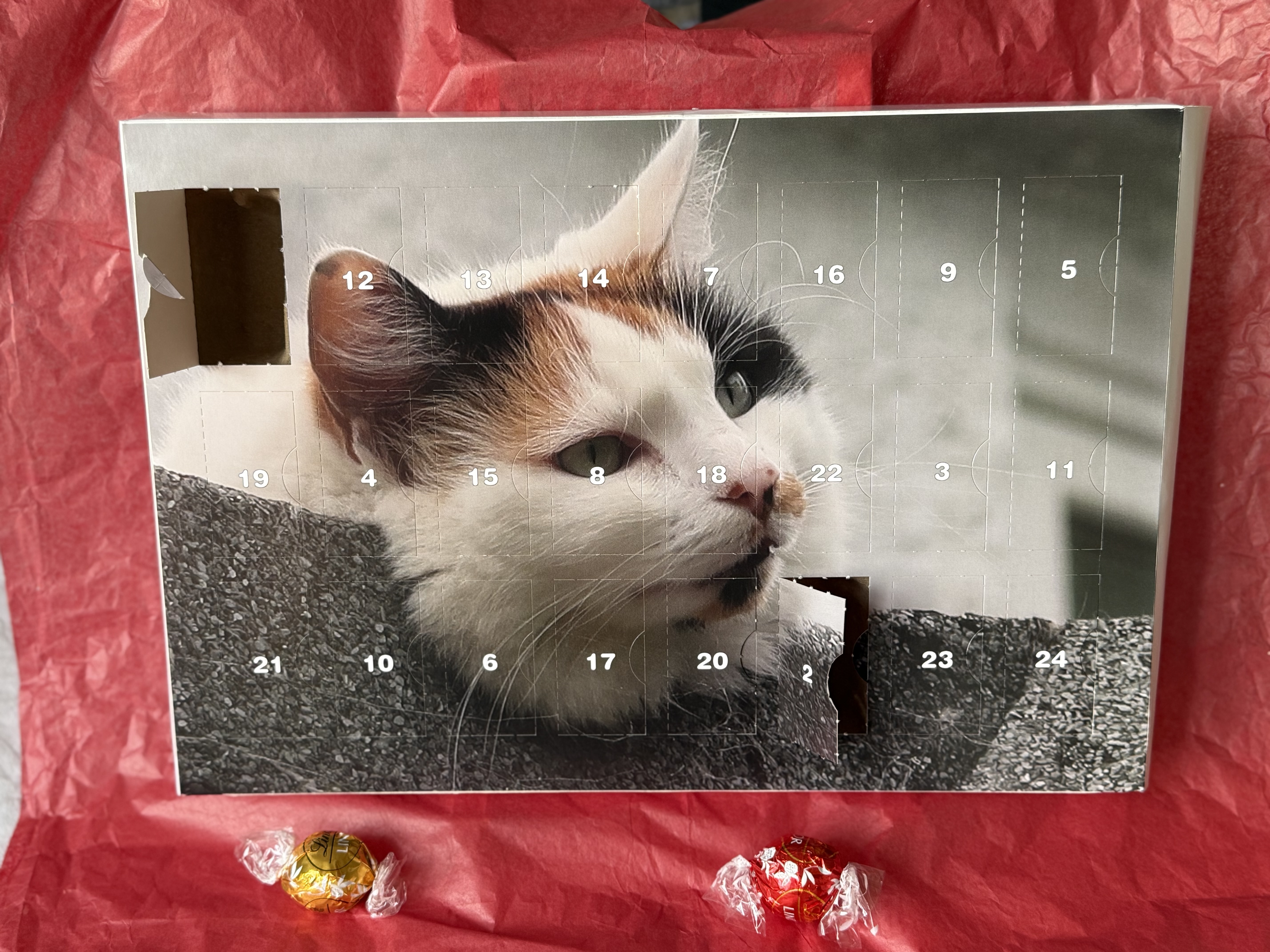 Customisable Advent Calendars from Vistaprint – The Review Studio